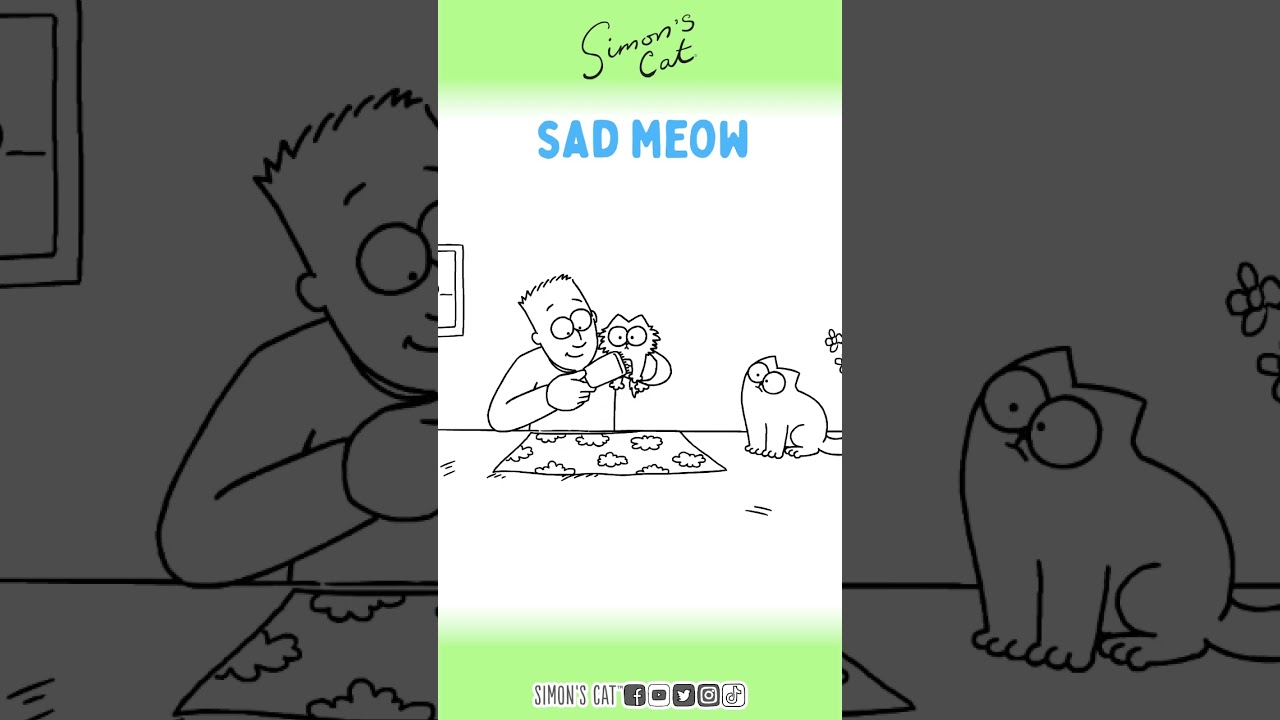 Types of Meow! – Pet News Live